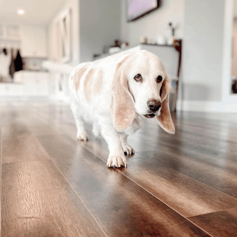 Premium Hardwood Flooring & Installation from FloorDaddy