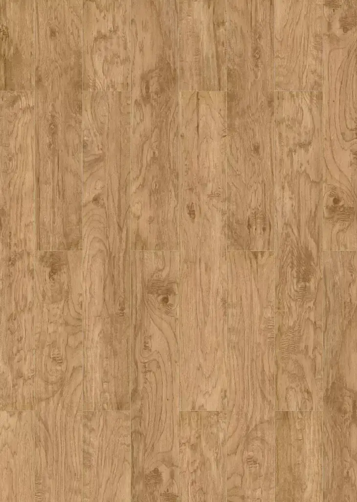 The Golden Era Collection | Floor Daddy